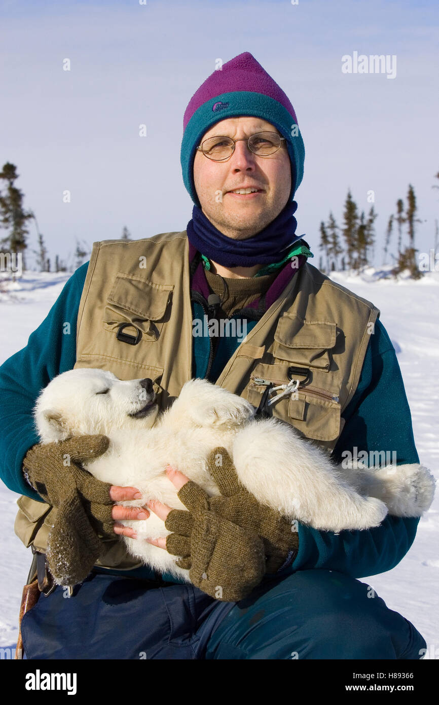 Polar Bear (Ursus maritimus) researcher Nick Lunn holds a tranquilized ...