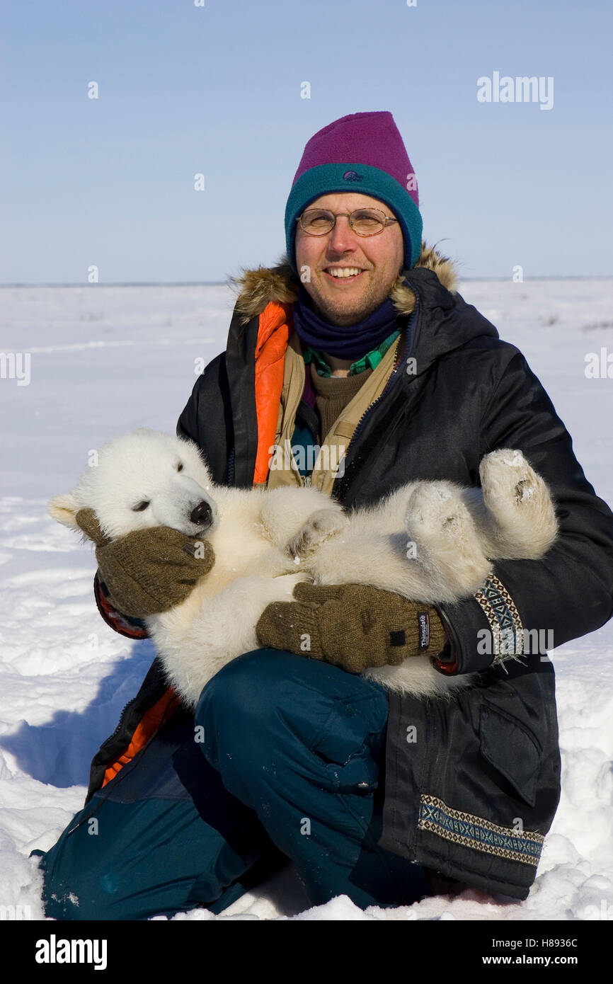 Polar Bear (Ursus maritimus) reseacher Nick Lunn holds tranquilized ...