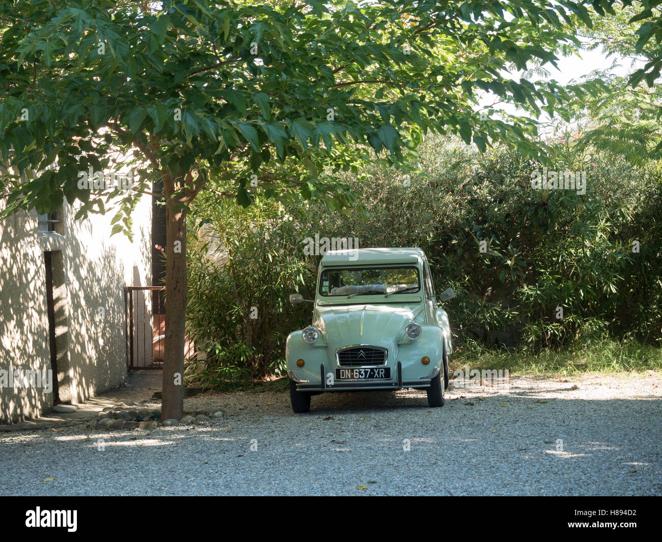 A pastel green Citroen 2CV, Deux Chevaux car parked under a tree on a ...