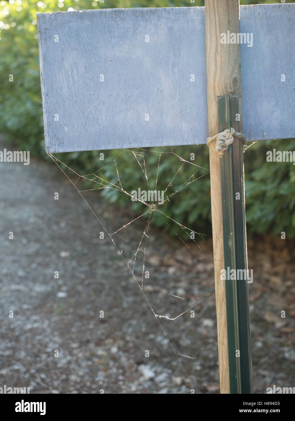 spider's webs on road sign Stock Photo - Alamy