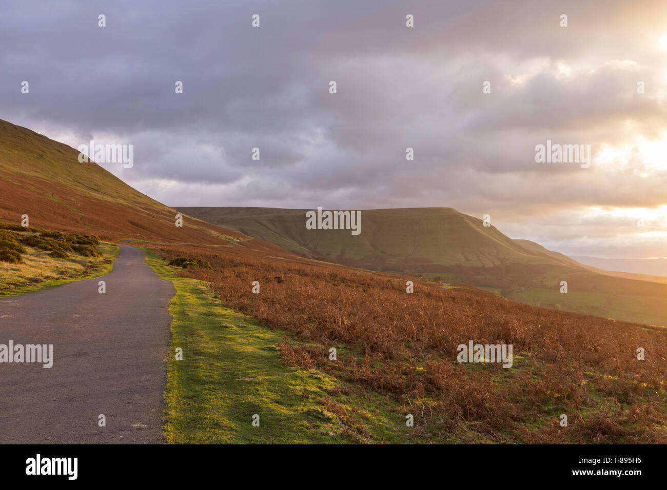 Lord herefords knob hi-res stock photography and images - Alamy