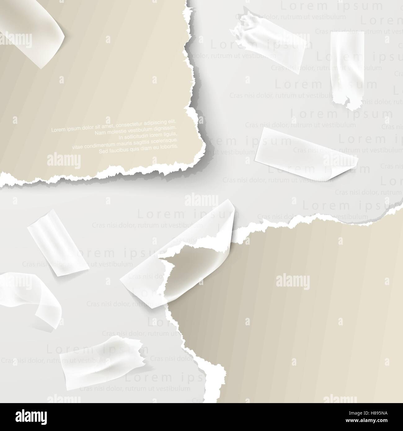 design elements, torn paper with transparent sellotape Stock Vector ...