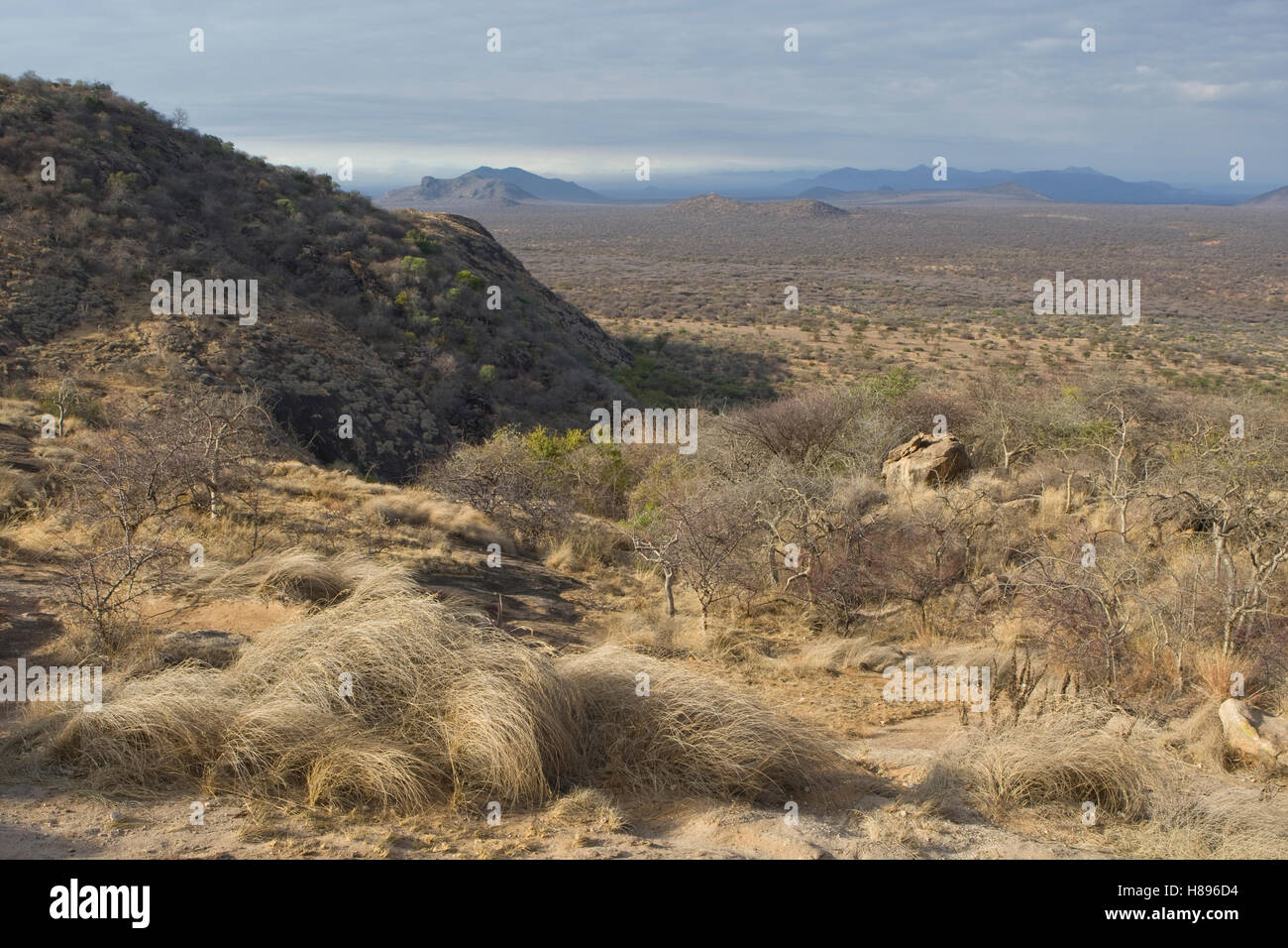 Hills and valley, Saruni Lodge, Kalama Wildlife Conservancy, Kenya ...