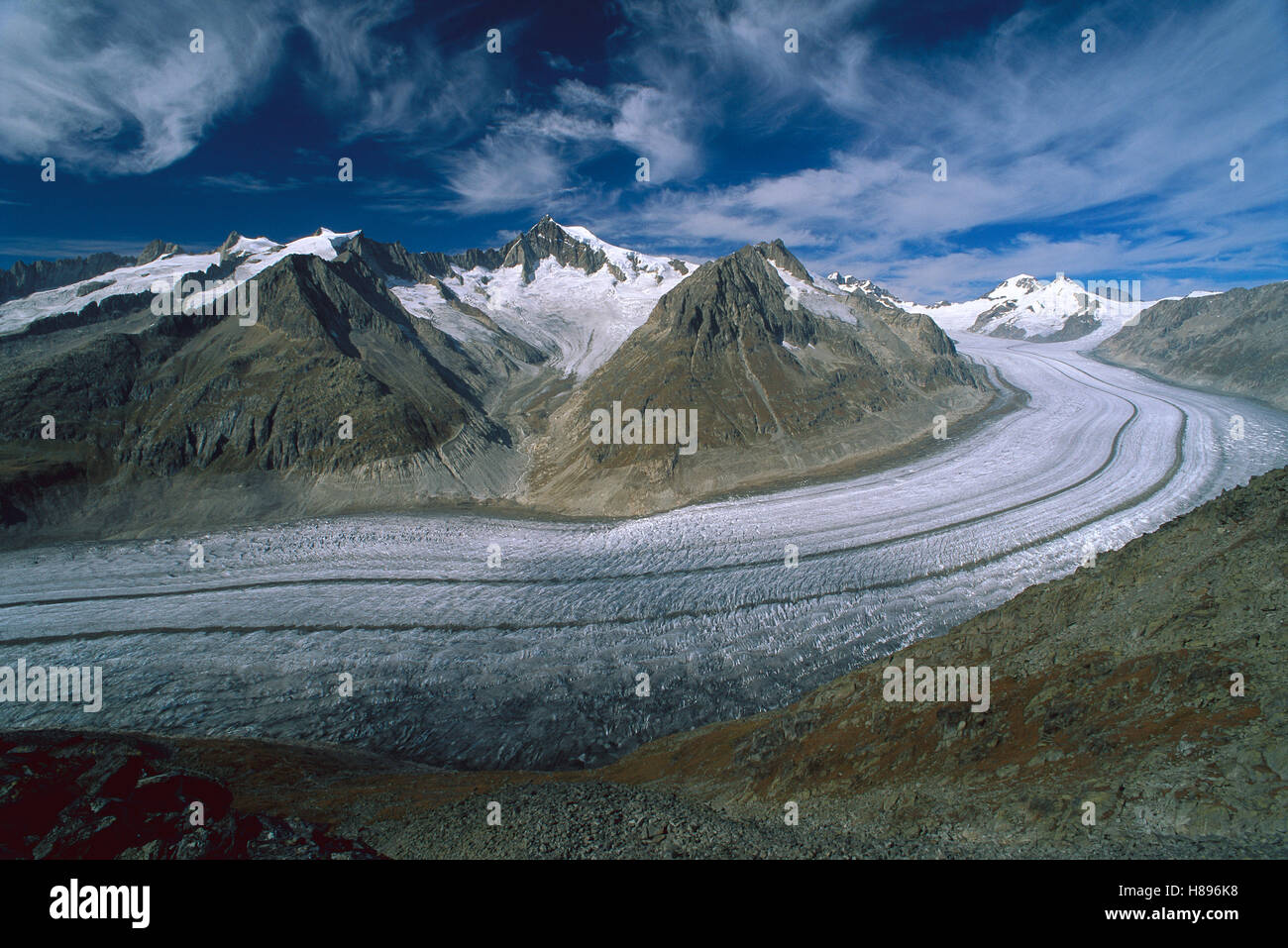 Aletsch Glacier moving through the Swiss Alps showing lateral and ...