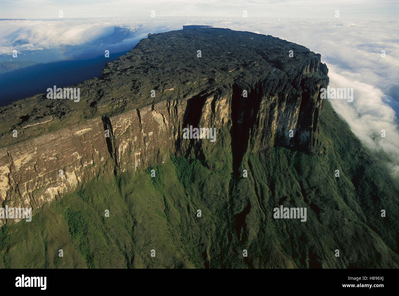 Kukenan Tepui, Canaima National Park, Venezuela Stock Photo - Alamy