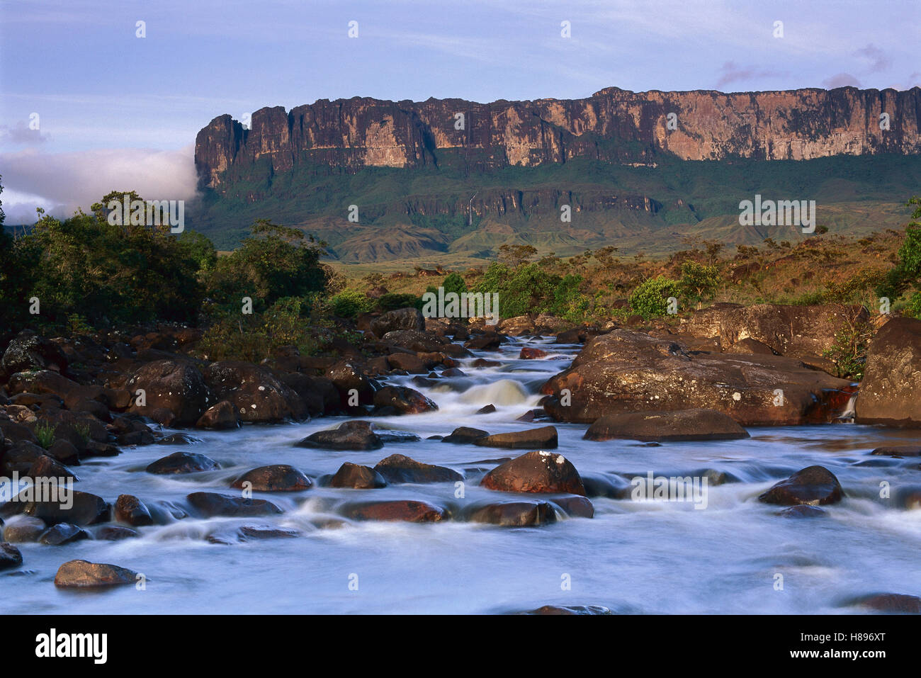 Kukenan River flowing towards Roraima Tepui, Canaima National Park ...