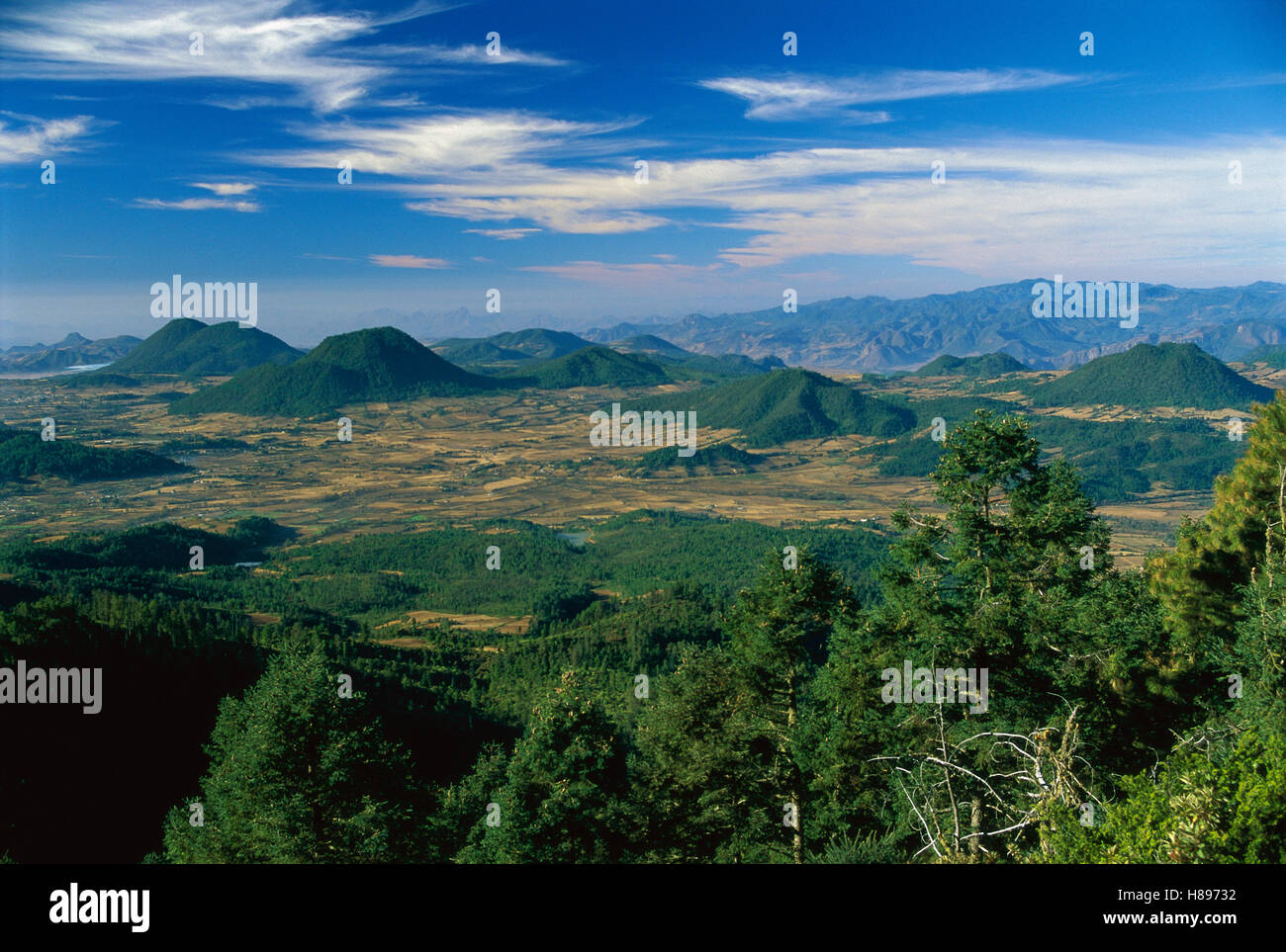 Temperate landscape, Michoacan, Mexico Stock Photo - Alamy