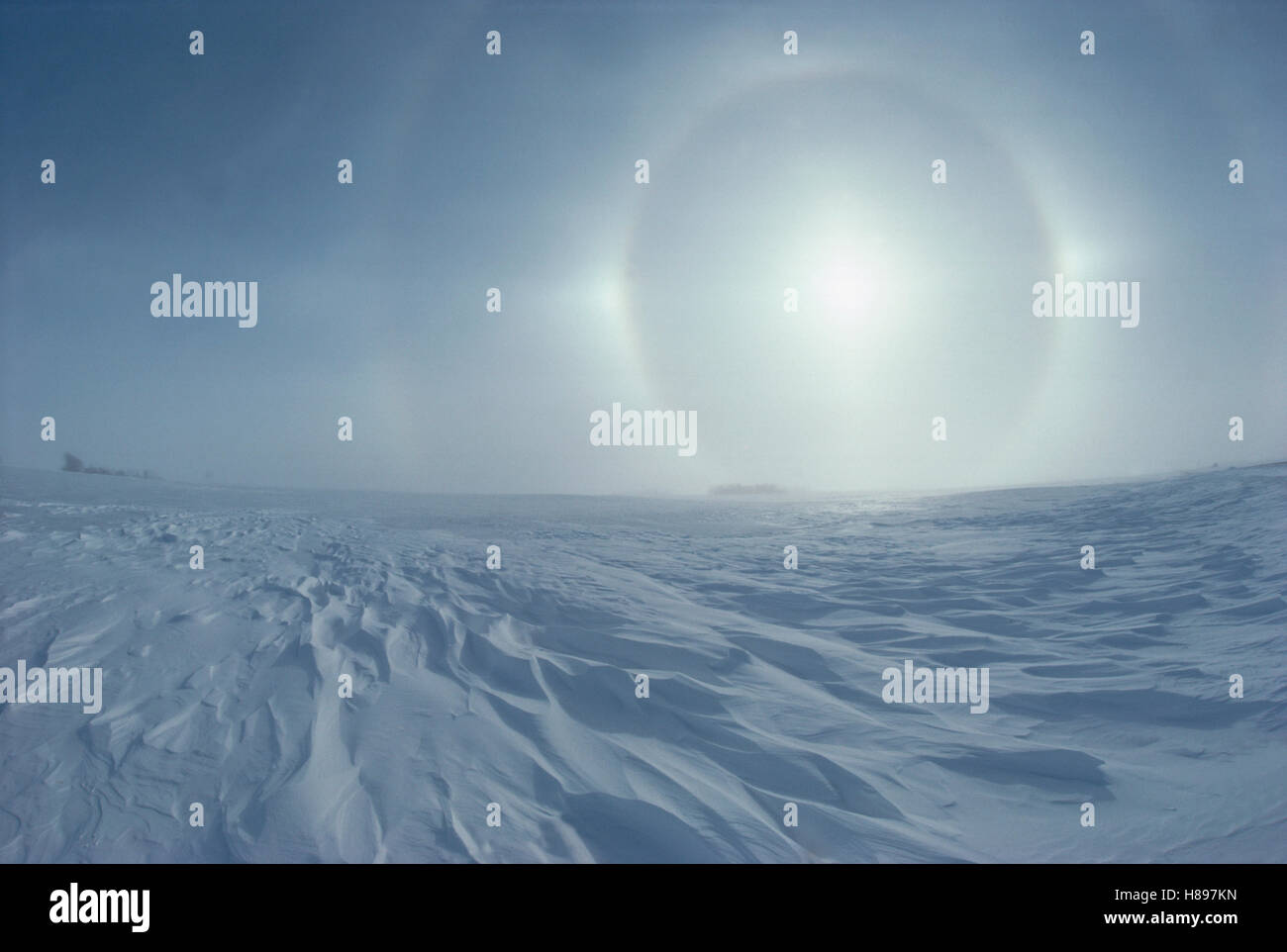Sundogs, also known as mock sun, on the horizon above a snow field ...