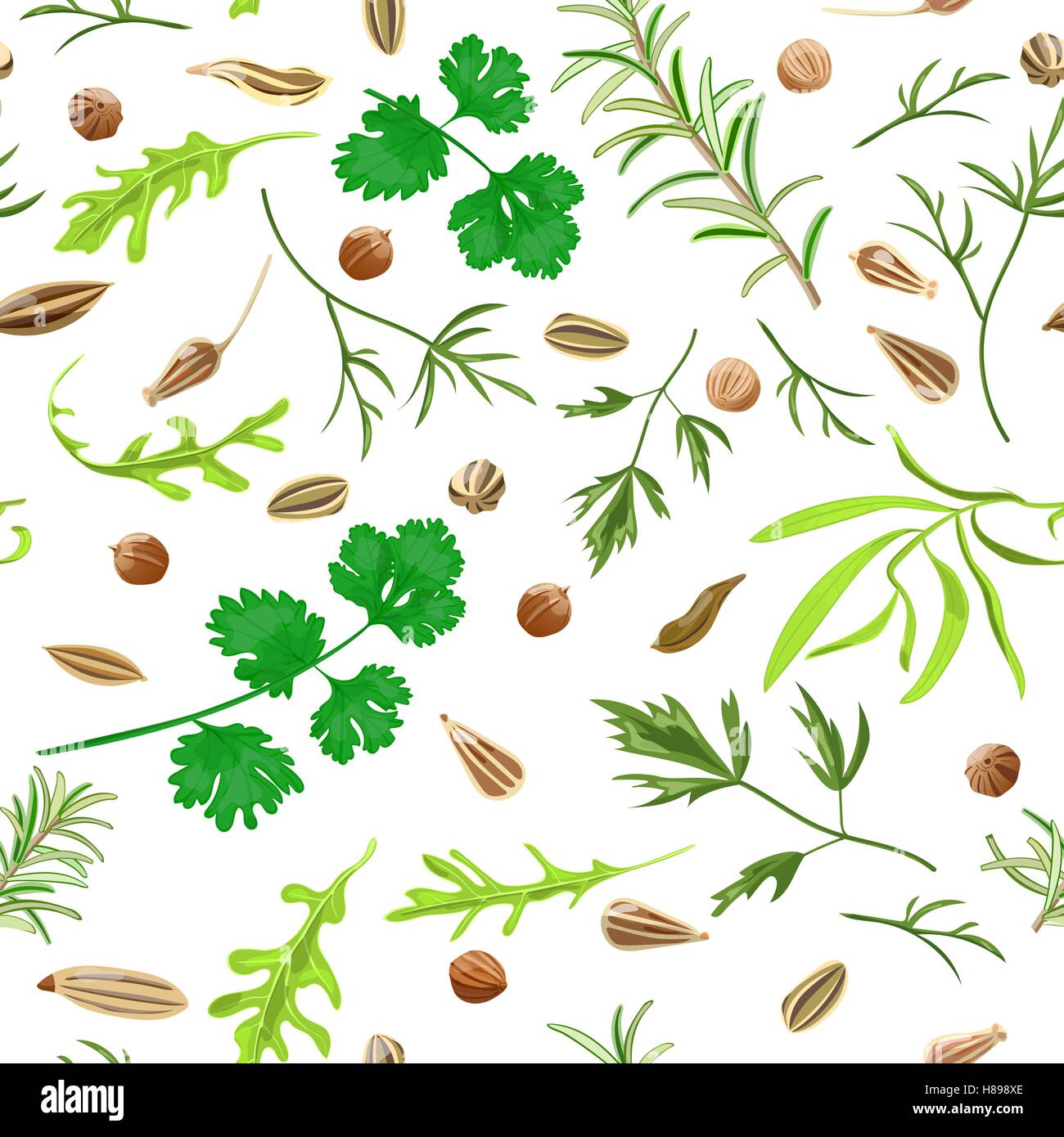 Spices Vector Wallpaper