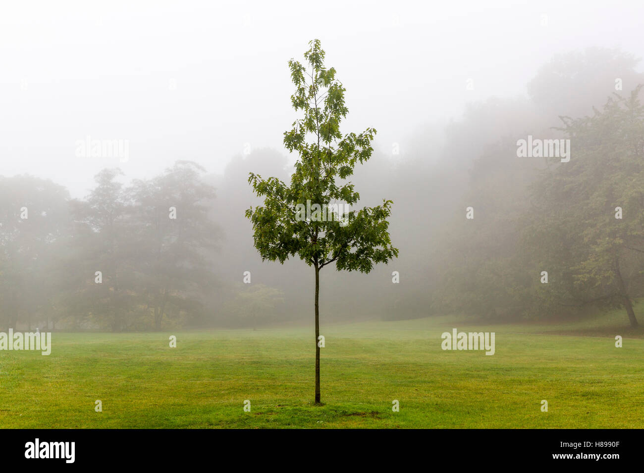 Lonesomeness hi-res stock photography and images - Alamy