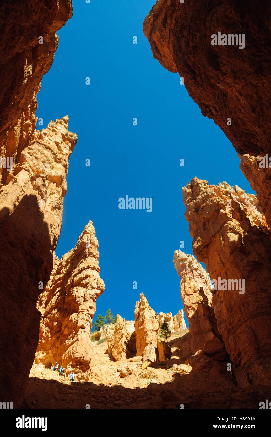 Bryce Canyon National Park Stock Photo - Alamy