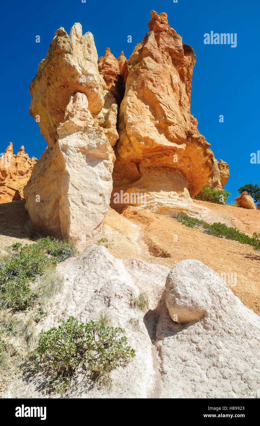 Bryce Canyon National Park Stock Photo - Alamy