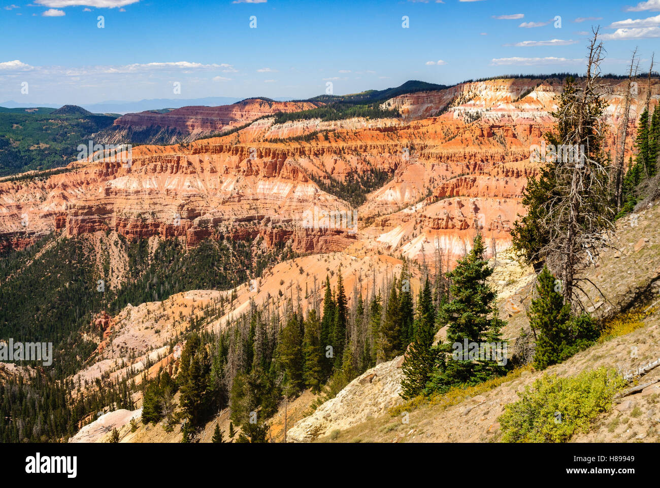 Cedar Breaks National Monument Stock Photo - Alamy