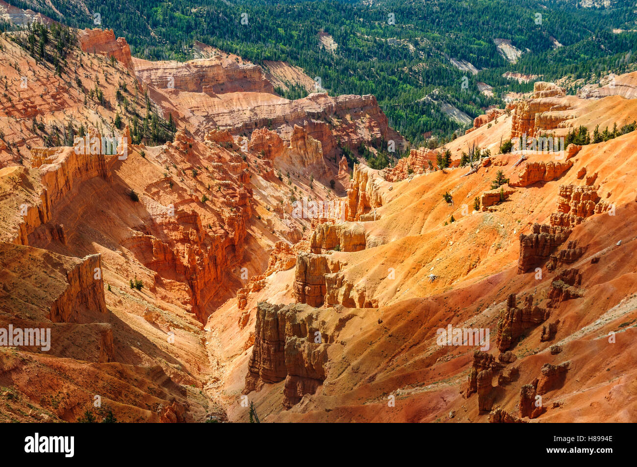 Cedar Breaks National Monument Stock Photo - Alamy