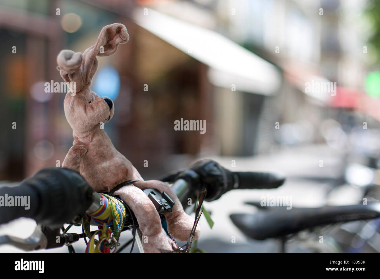 Rabbit accessories hi-res stock photography and images - Alamy