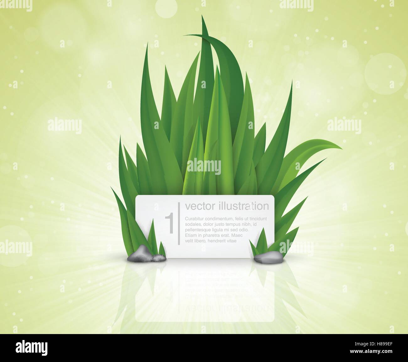 Green grass and leaves. summer and spring background Stock Vector Image ...