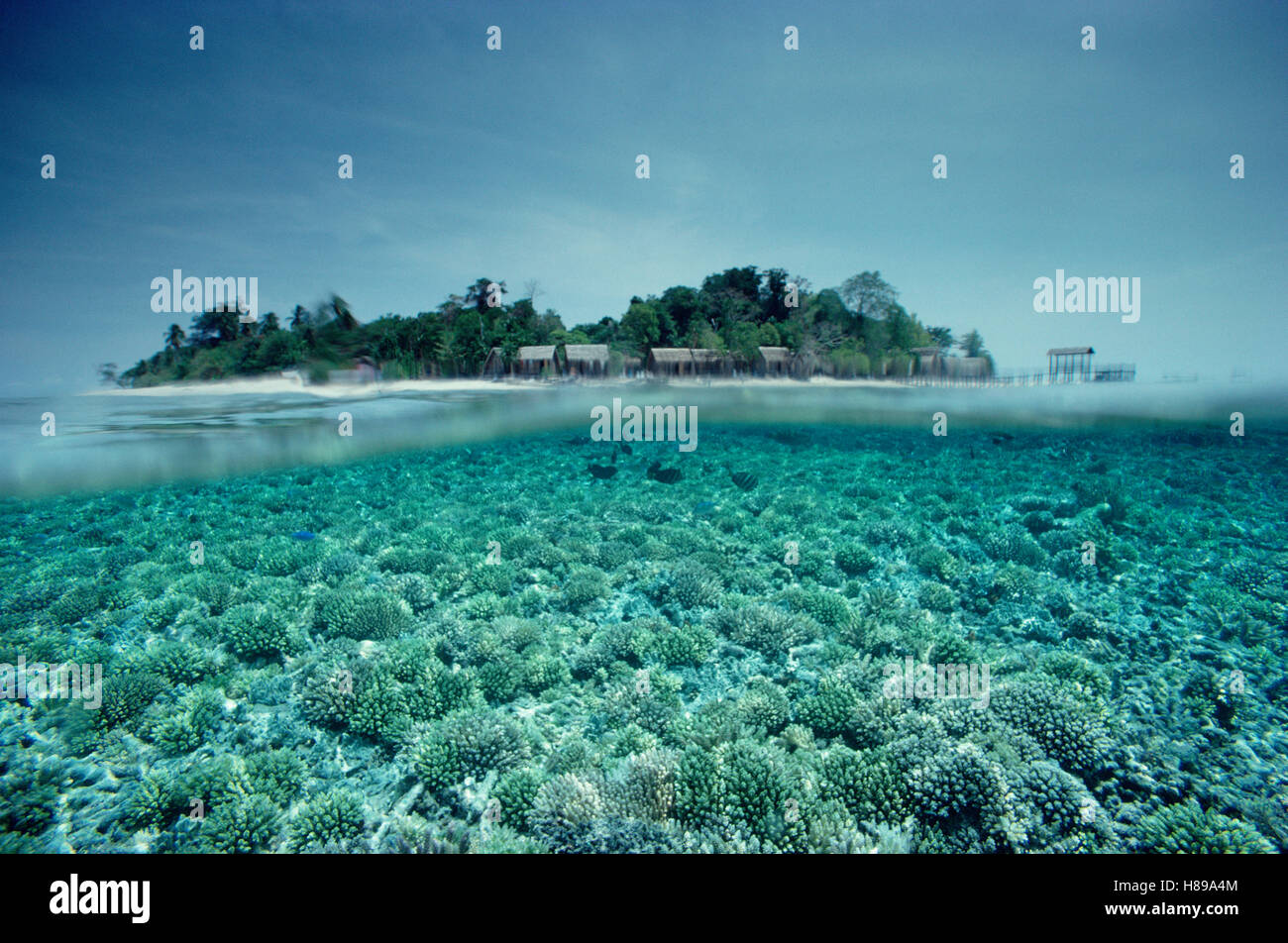 Sipadan Island, a rich oceanic island surrounded by coral reef, Borneo ...