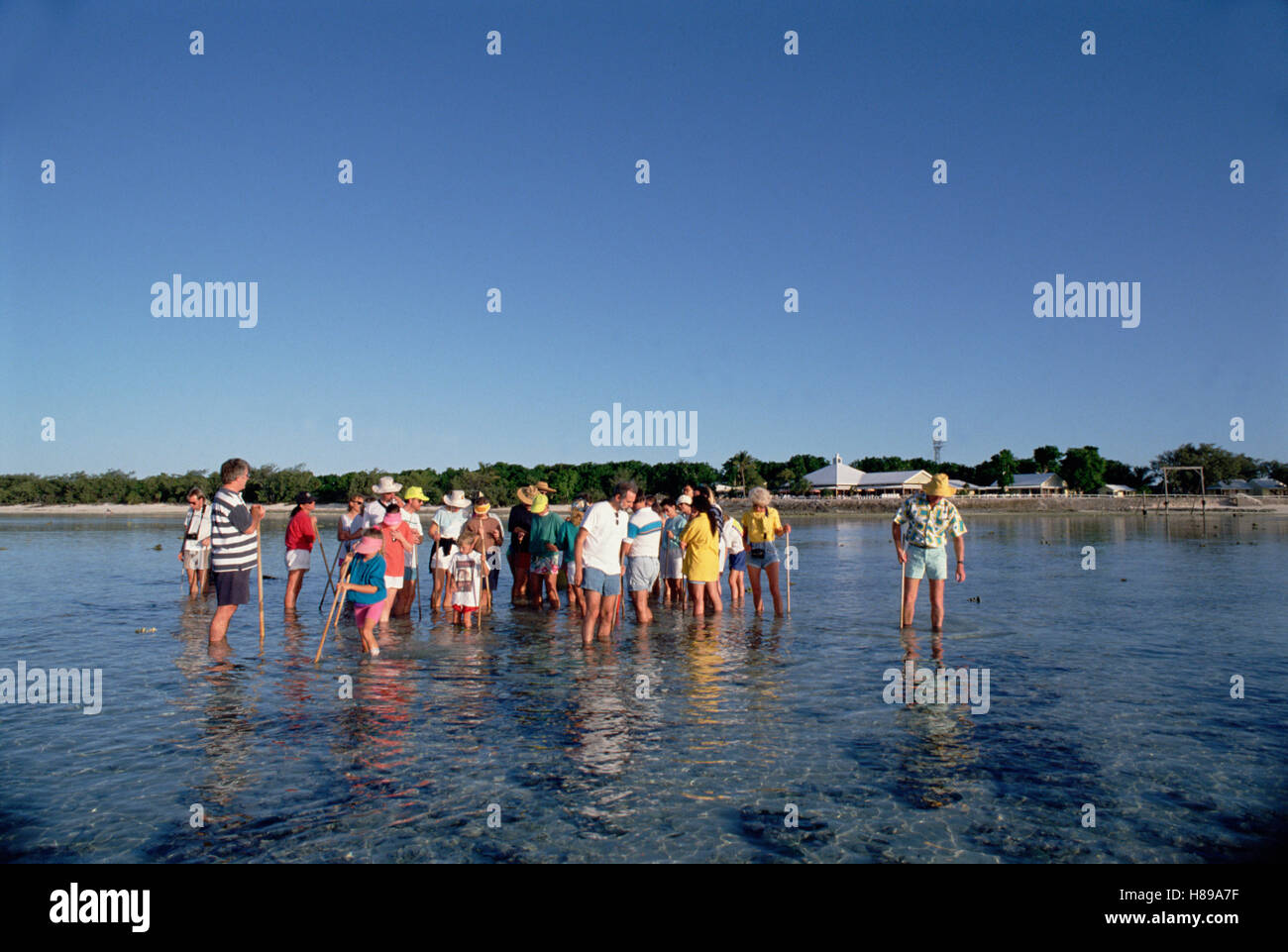 Reef-walking, Great Barrier Reef, Heron Island, Australia Stock Photo ...