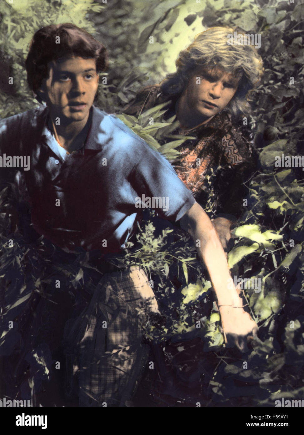 Christopher daniel barnes hi-res stock photography and images - Alamy