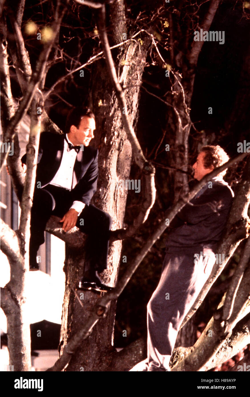 Mr. destiny - voll daneben, (MR. DESTINY) USA 1990, Regie: James Orr ...