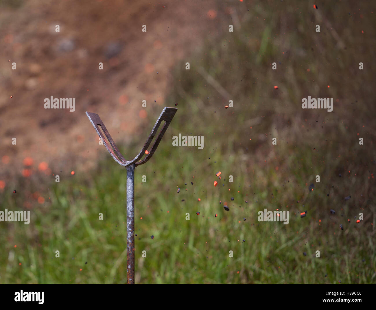 Clay target shooting hi-res stock photography and images - Alamy