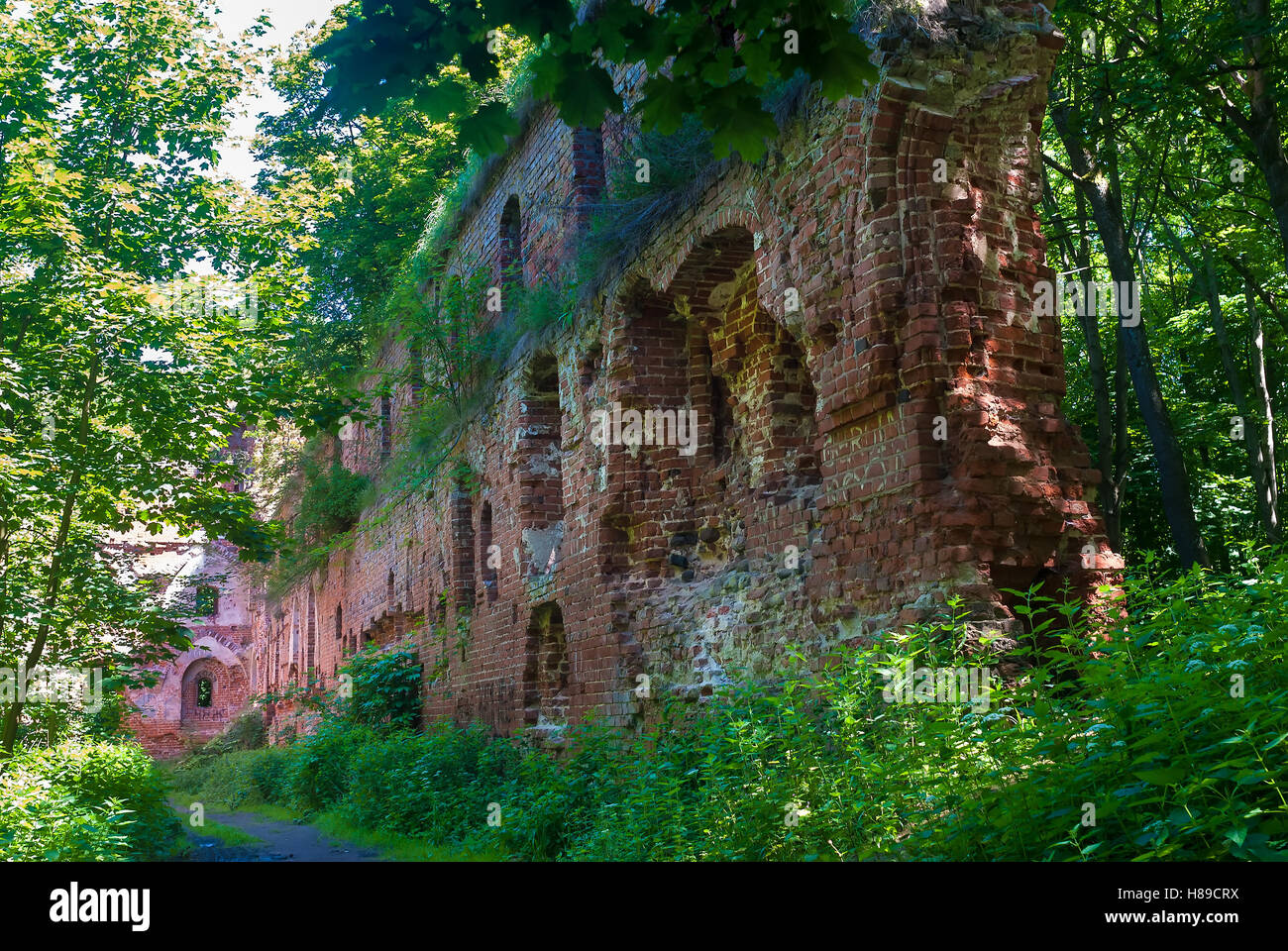 Balga hi-res stock photography and images - Alamy