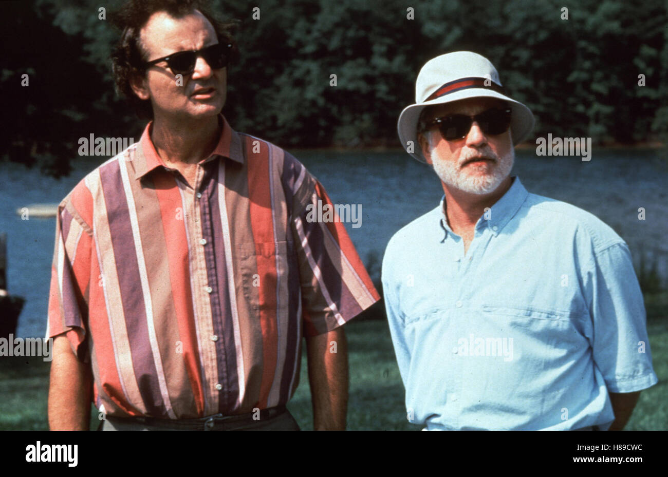 Bill Murray Che Mi Dici Delle Citazioni Di Bob