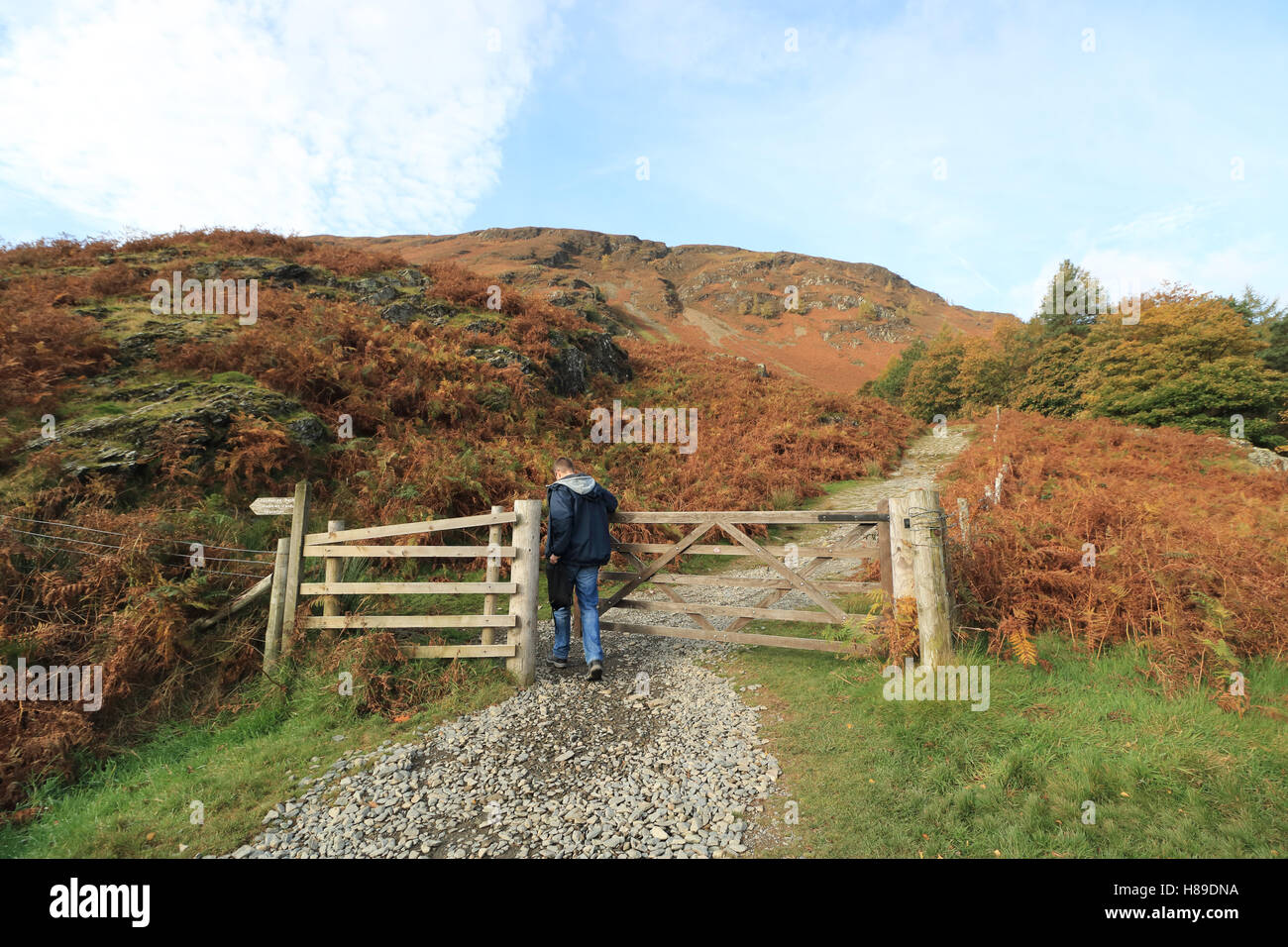 Autumn in Cumbria England UK Stock Photo - Alamy
