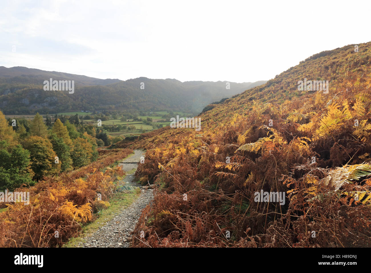 Autumn in Cumbria England UK Stock Photo - Alamy
