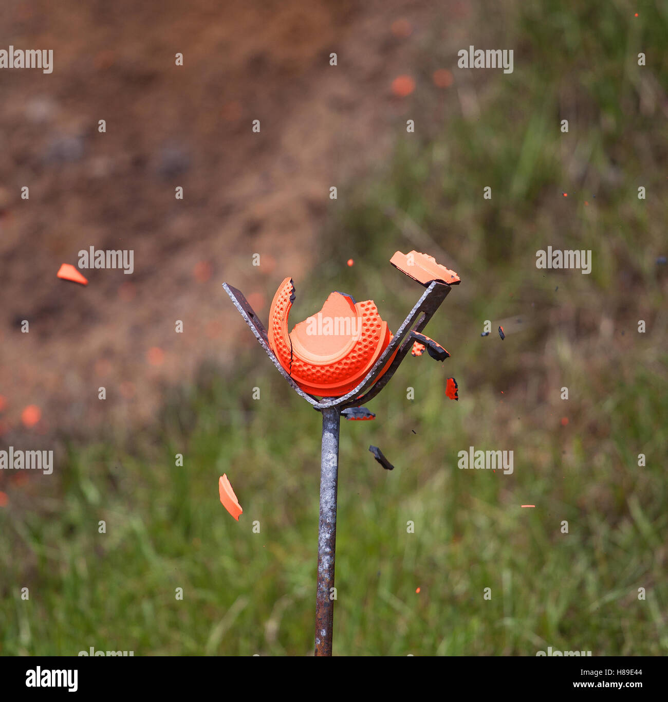 Clay target hi-res stock photography and images - Alamy