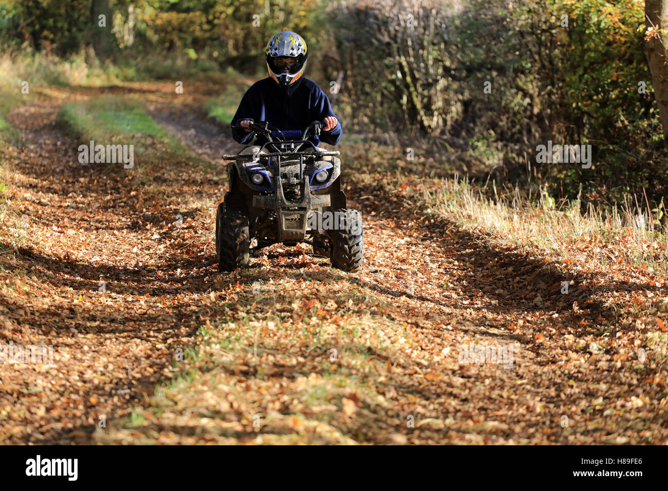 Quad biking on a leaf covered countryside track, England, UK Stock ...