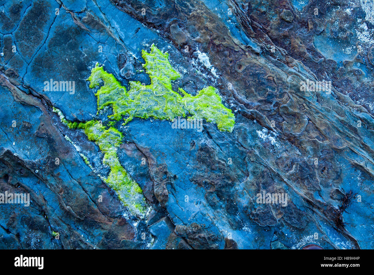 Lichen covered rocks. Australia Stock Photo - Alamy