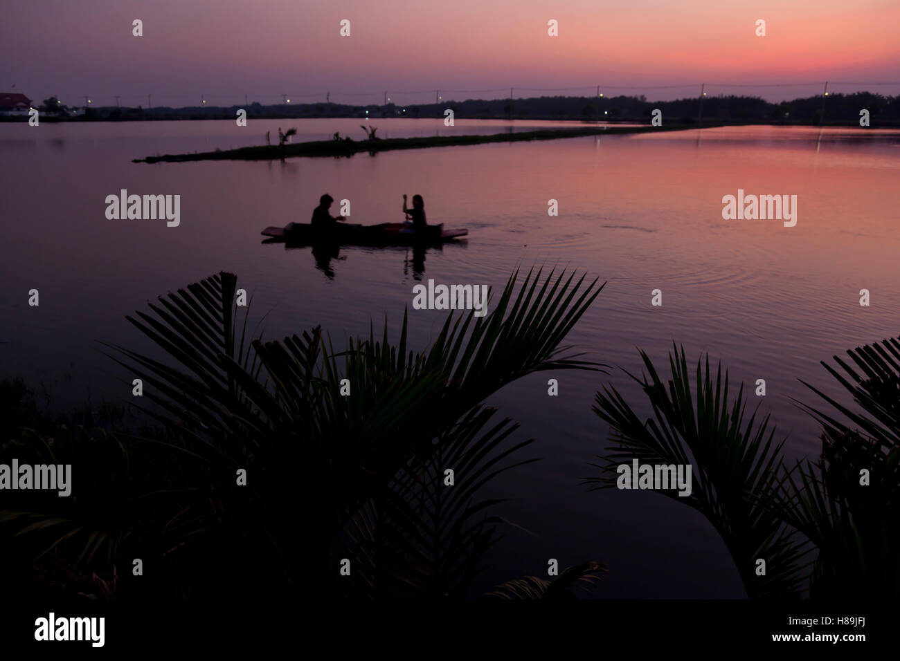 Prawn farm hi-res stock photography and images - Alamy