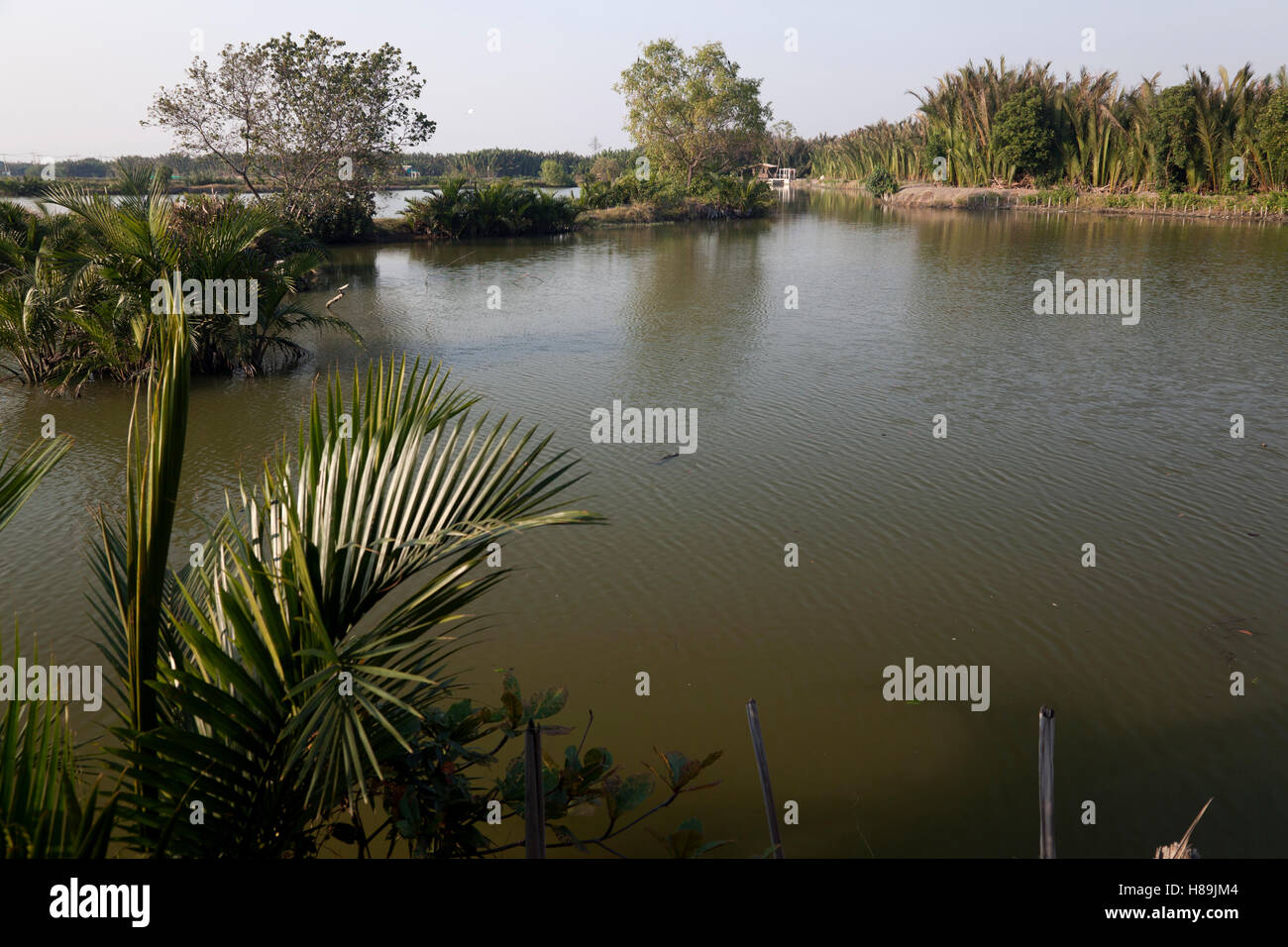 A prawn farm that practises extensive and natural farming including ...