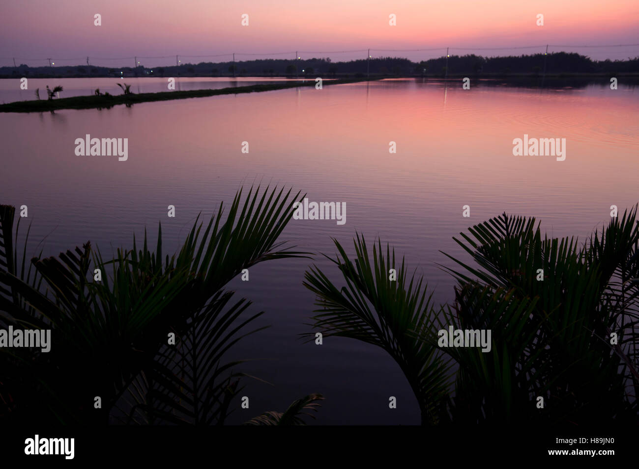 Prawn aquaculture ponds hi-res stock photography and images - Alamy