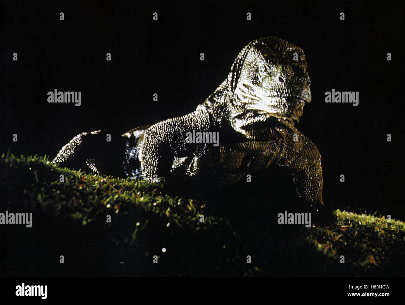 Komodo, (KOMODO) AUS 1999, Regie: Michael Lantieri, Komodo, Stichwort ...