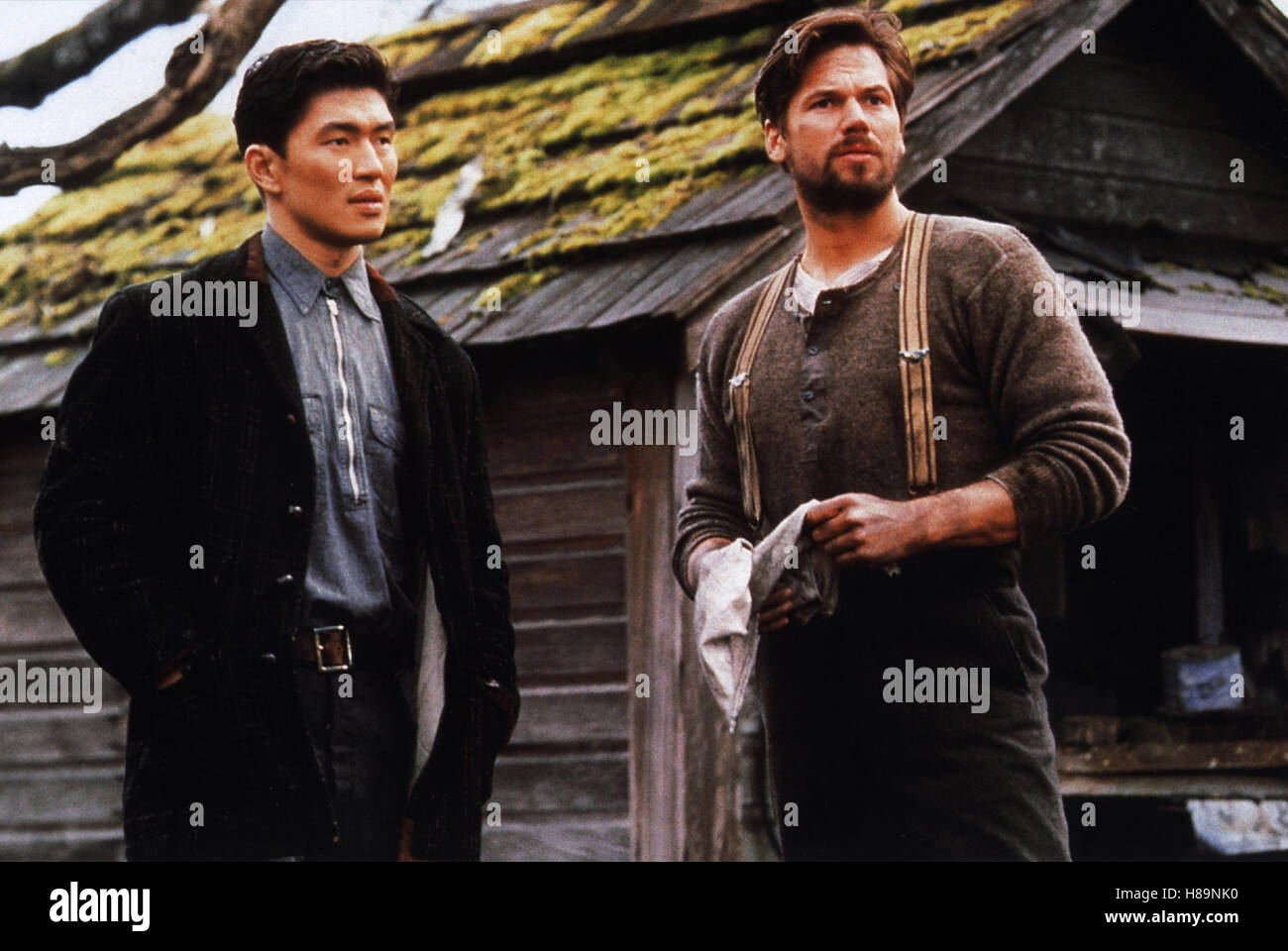 Snow falling on cedars hi-res stock photography and images - Alamy