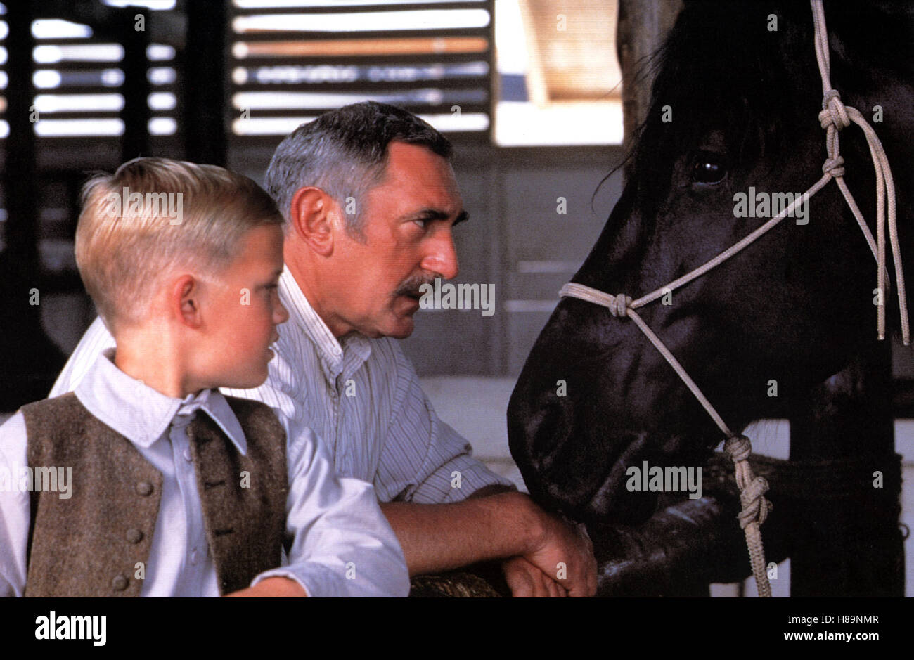 Chase moore running free hi-res stock photography and images - Alamy