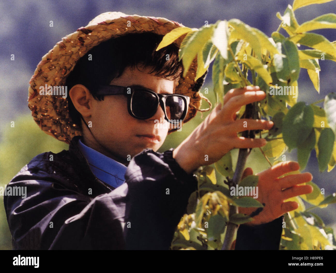 Die farben hi-res stock photography and images - Alamy