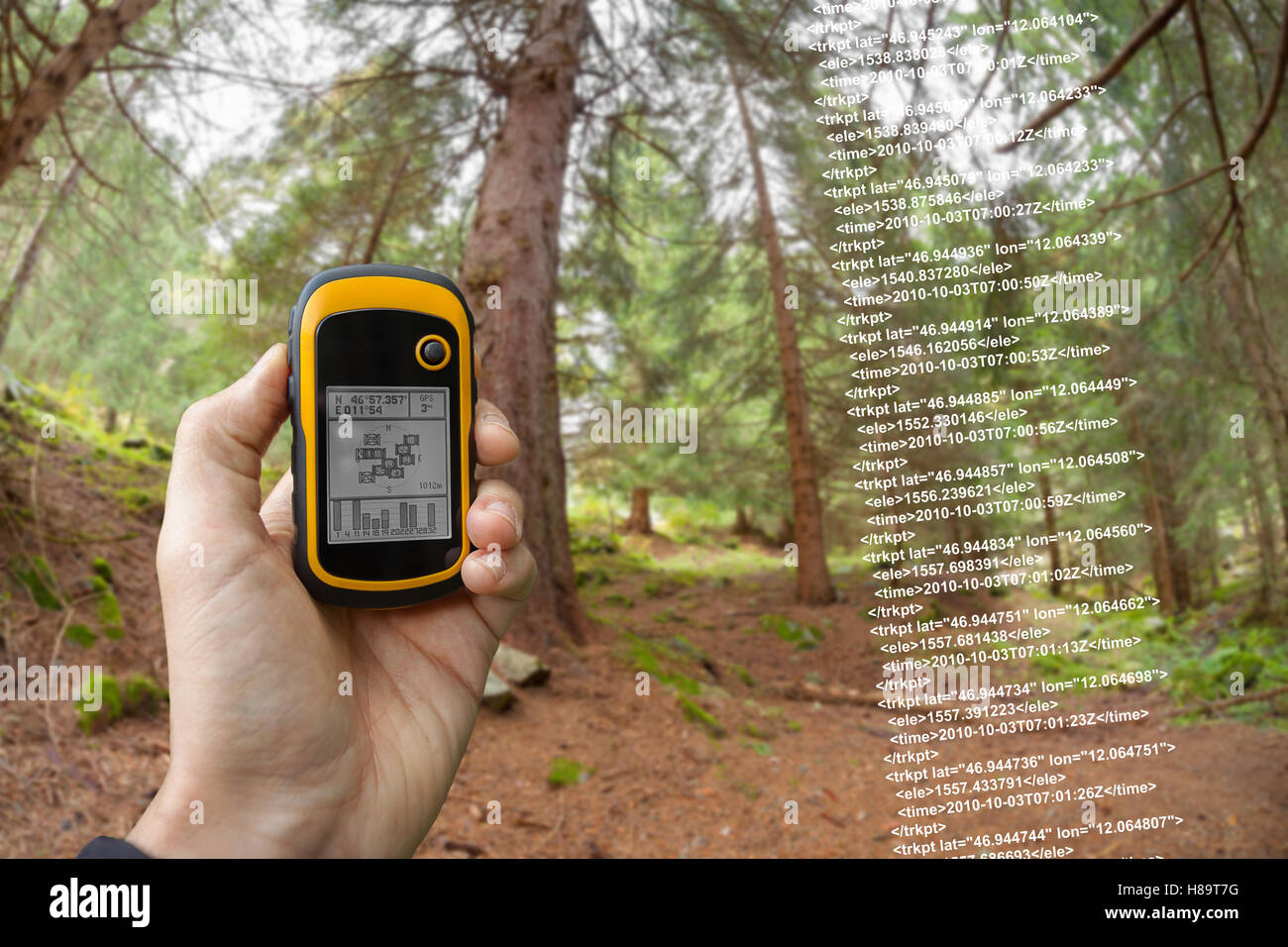 A trekker is finding the right position in the forest via gps in a ...