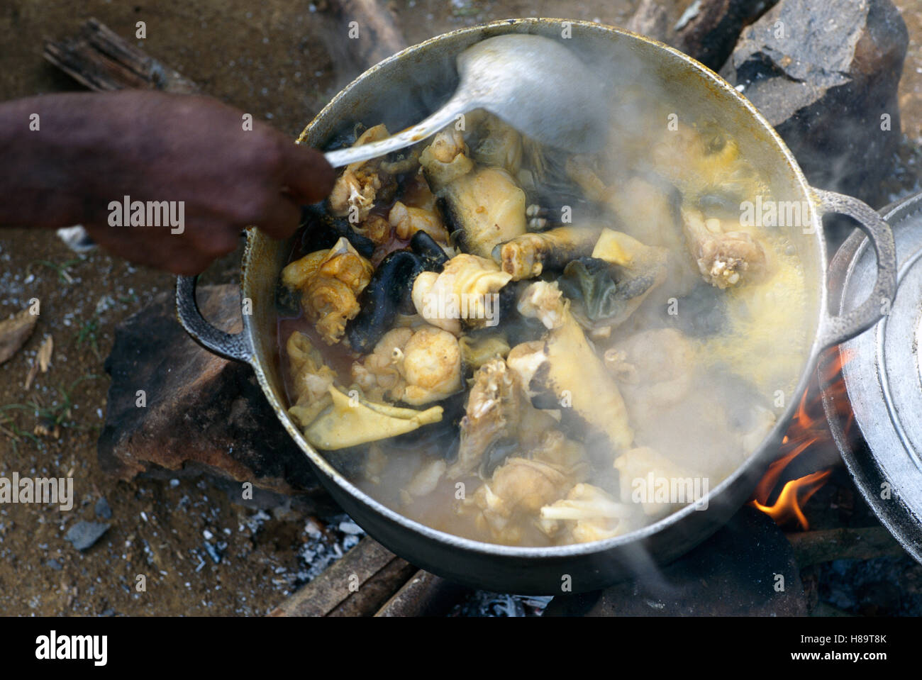 Goliath Frog (Conraua goliath) being cooked for eating by villagers ...