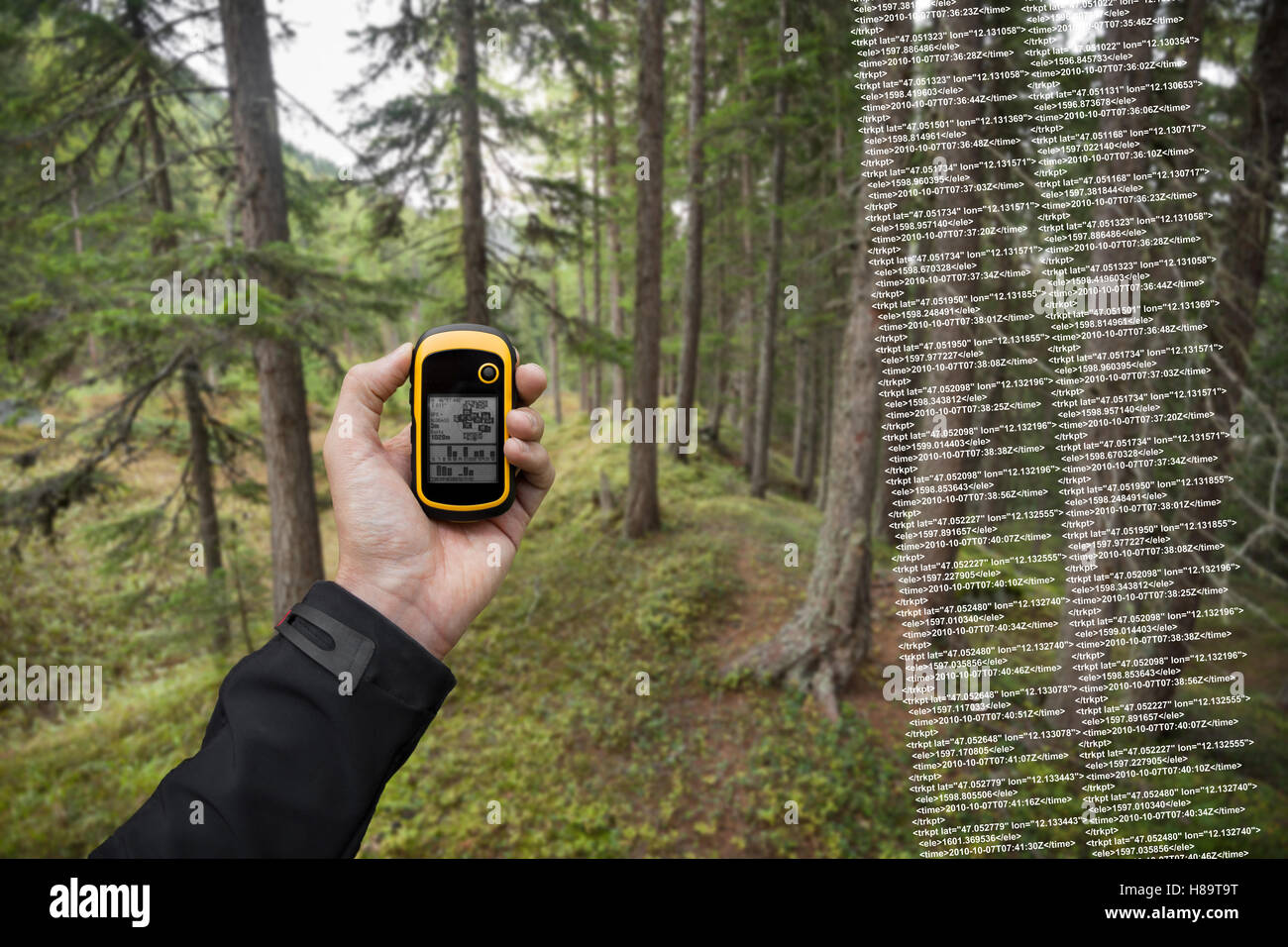 A trekker is finding the right position in the forest via gps in a ...