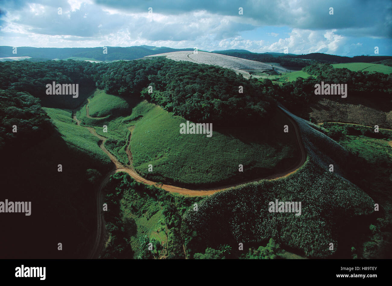 Silted river runs past forest preserved by the Serra Grande Sugar ...