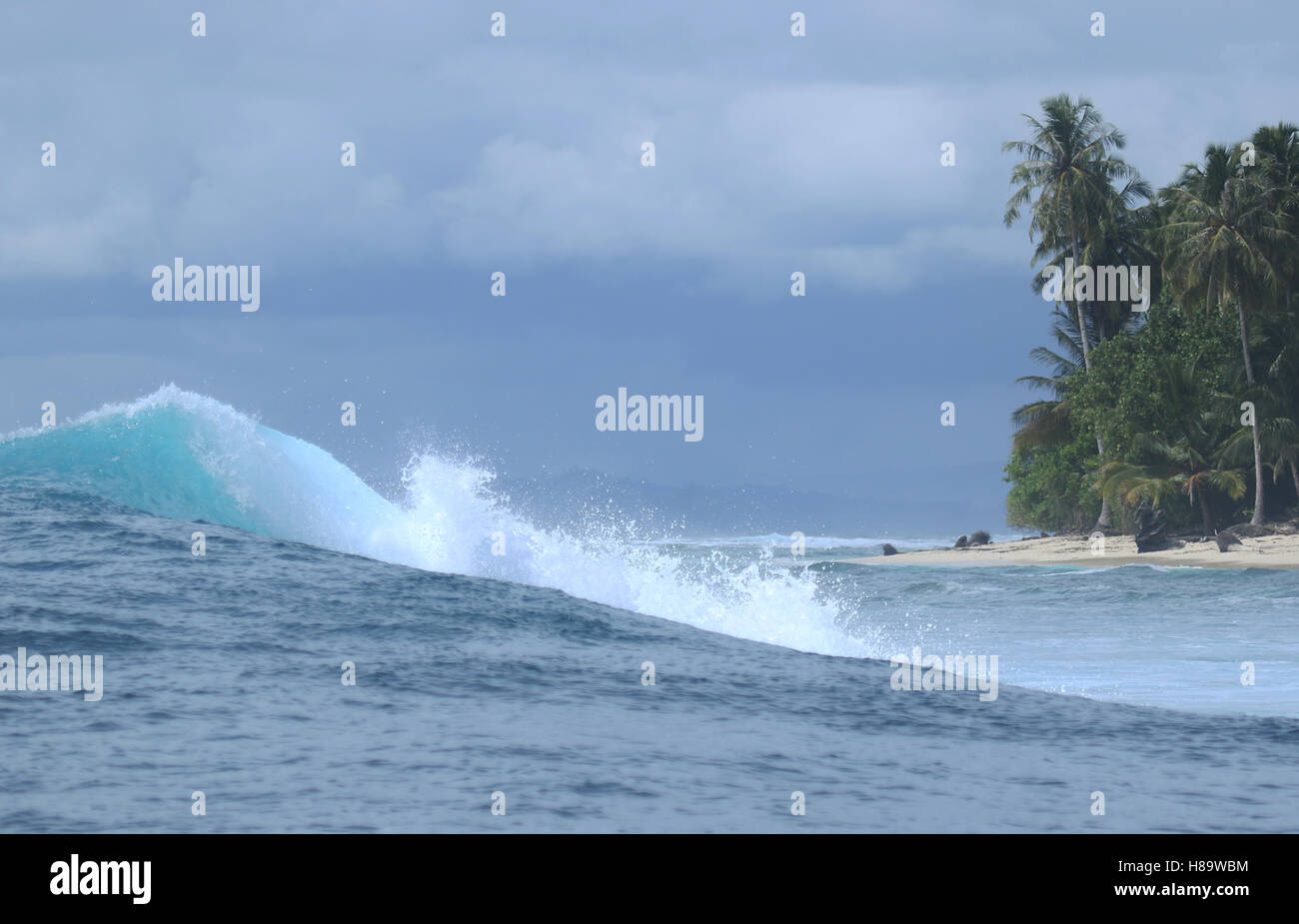 Wave and palm trees Stock Photo - Alamy