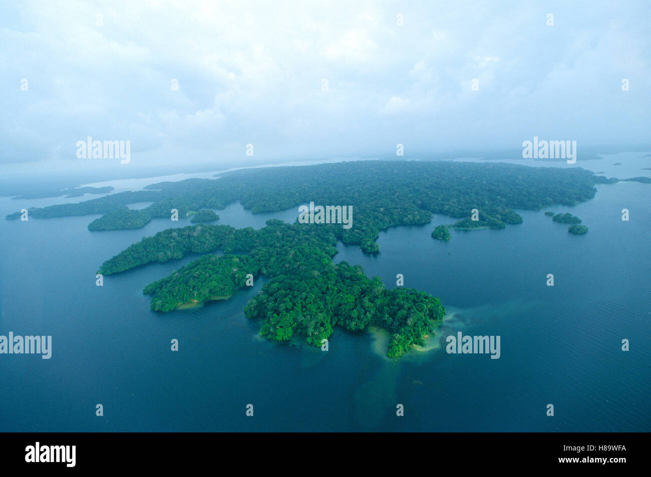 Barro Colorado Island blanketed with lush forest, Gatun Lake, Panama ...