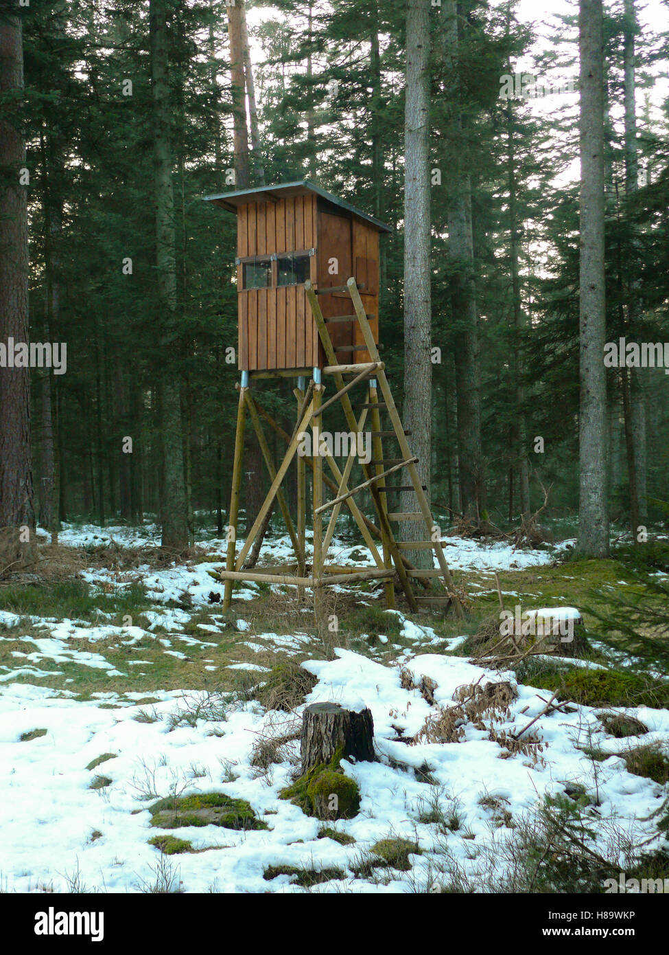 a deerstand in the forest surrounded by trees, meadow in front with ...
