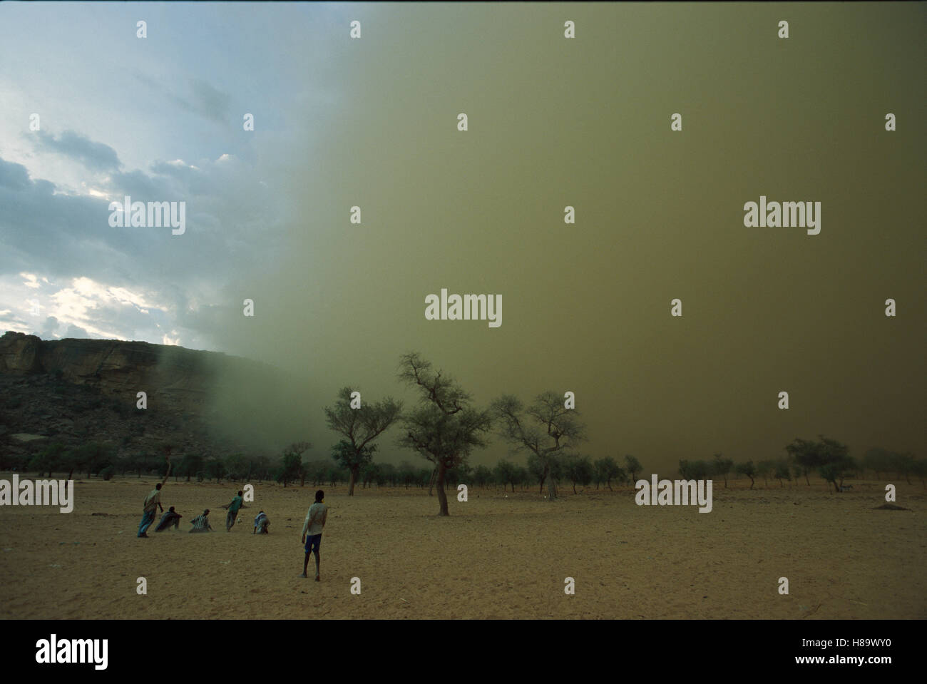 Dogon natives watch approaching sandstorm, Mali, west Africa Stock ...