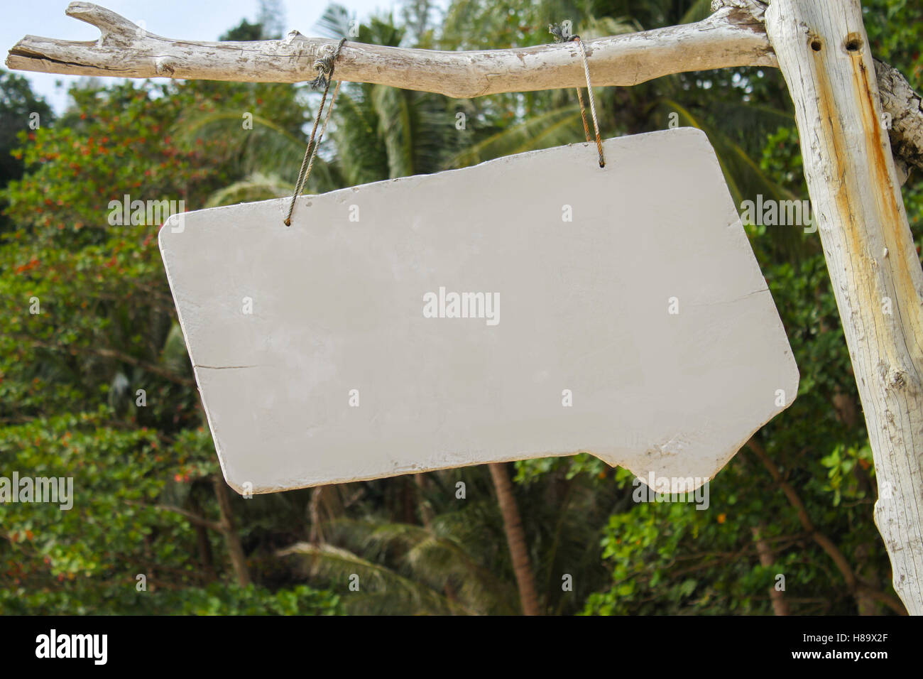 a white wooden sign hang on tree with nature background Stock Photo - Alamy