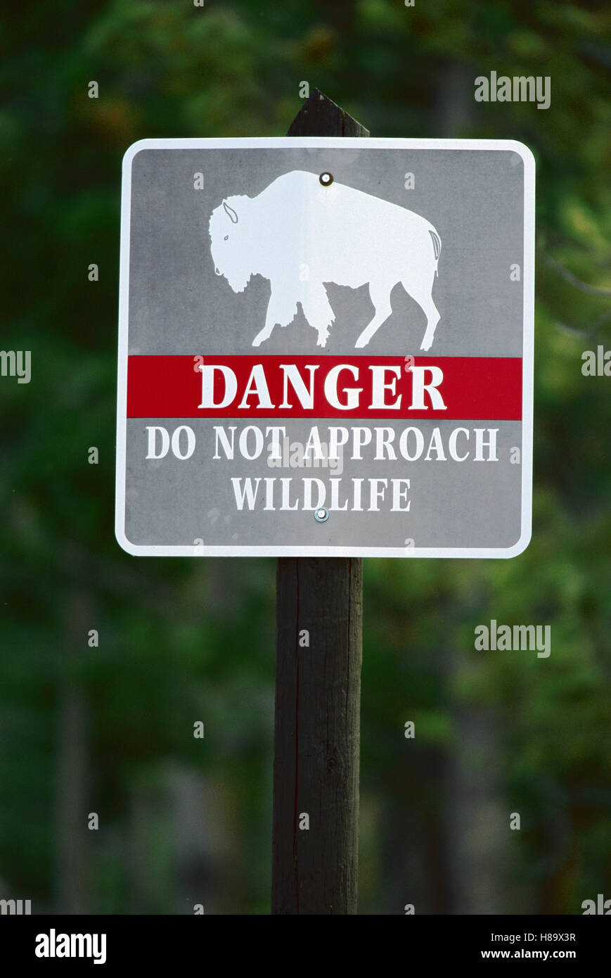 Bison sign warning hi-res stock photography and images - Alamy
