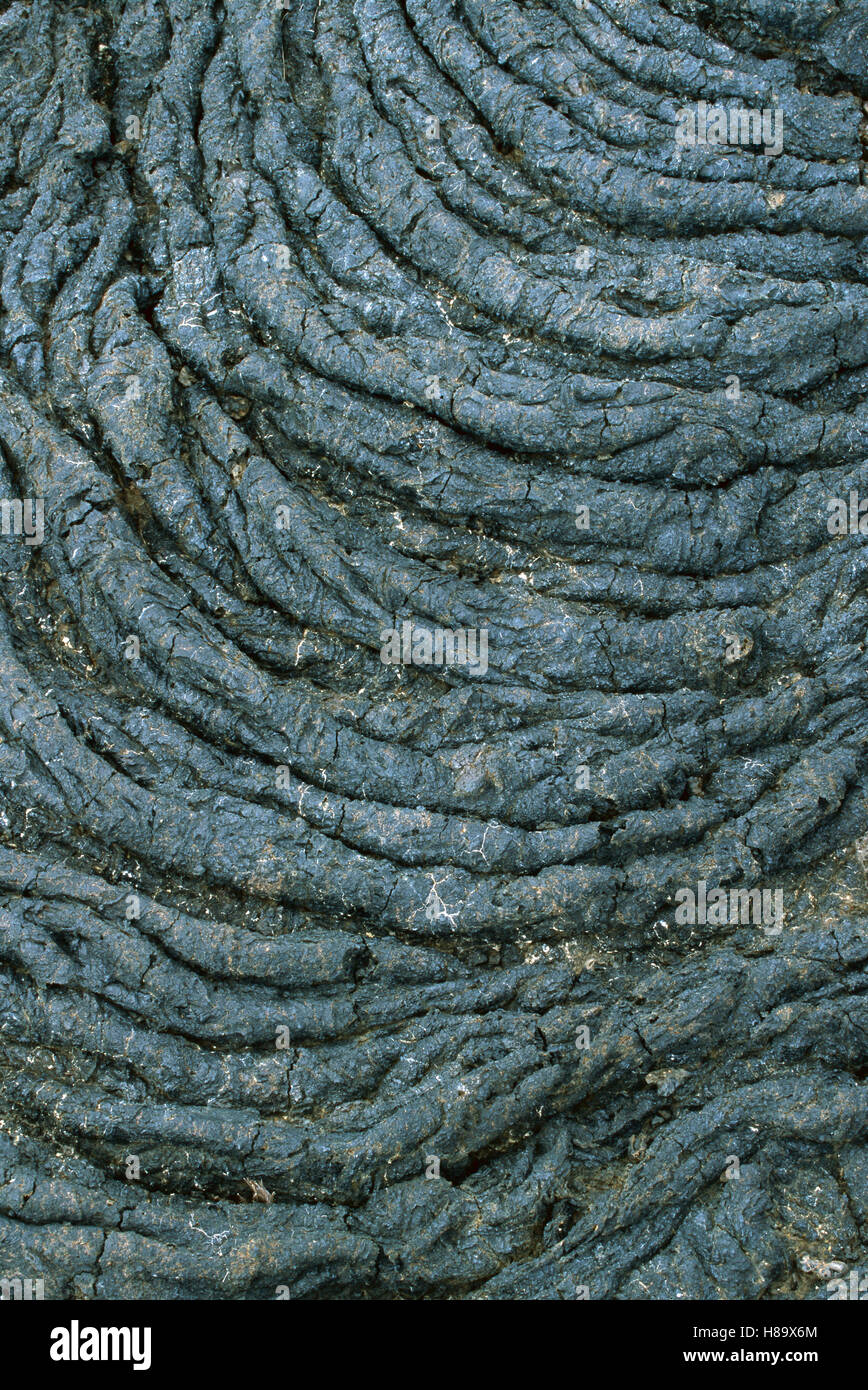 Cool Aa lava, Isabella Island, Galapagos Islands, Ecuador Stock Photo ...